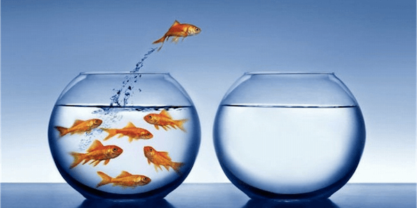 Rompiendo Paradigmas. > Temas de Liderazgo >