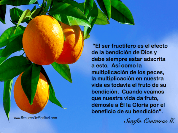 Ser Fructífero > Pensamientos de Serafín Contreras G. >